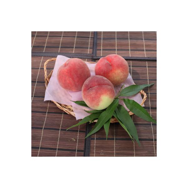 ■お礼品詳細　・配送種別：冷蔵便　・提供元：株式会社Three.R（南アルプス市）■お申し込み・配送・その他　・発送時期：2026-06-28〜2026-08-31(お届け時間帯指定可)　・申込受付期間：2025-10-18〜2026-08...