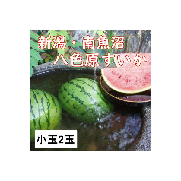 ■お礼品詳細　・配送種別：通常　・提供元：うどん屋キツネ■お申し込み・配送・その他　・発送時期：2026-07-15〜2026-08-20(お届け時間帯指定可)　・申込受付期間：〜2026-08-10　・配達外のエリア：離島　・寄付証明書の...