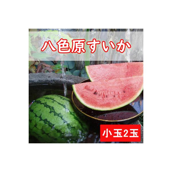 ■お礼品詳細　・配送種別：通常　・提供元：中島商事■お申し込み・配送・その他　・発送時期：2026-07-15〜2026-08-20(お届け時間帯指定可)　・申込受付期間：〜2026-08-10　・配達外のエリア：離島　・寄付証明書の送付時...