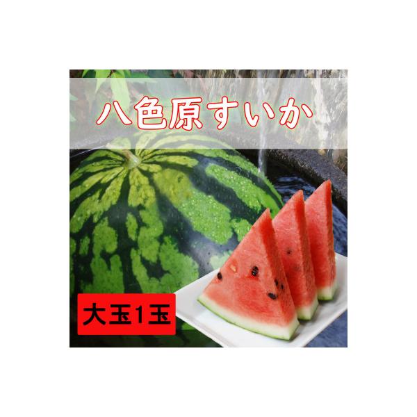 ■お礼品詳細　・配送種別：通常　・提供元：中島商事■お申し込み・配送・その他　・発送時期：2026-07-20〜2026-08-15(お届け時間帯指定可)　・申込受付期間：〜2026-08-03　・配達外のエリア：離島　・寄付証明書の送付時...