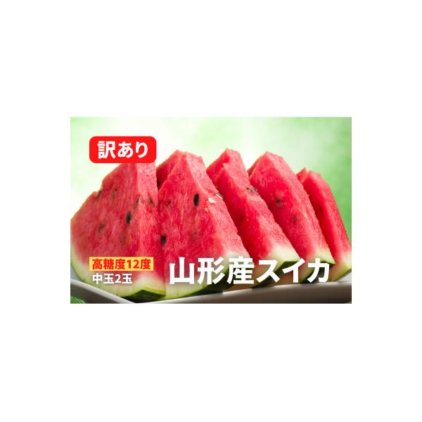 ■お礼品詳細　・配送種別：通常　・提供元：株式会社ＦＡＲＭＥＲ’Ｓ■お申し込み・配送・その他　・発送時期：2026-07-15〜2026-08-31(お届け時間帯指定可)　・申込受付期間：〜2026-07-31　・配達外のエリア：　・寄付証...