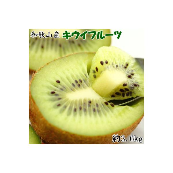 ■お礼品詳細　・配送種別：通常　・提供元：古座川町厳選館（果実事業部）■お申し込み・配送・その他　・発送時期：2026-01-15〜2026-03-05(お届け時間帯指定可)　・申込受付期間：〜2026-02-19　・配達外のエリア：　・寄...