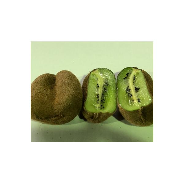 ■お礼品詳細　・配送種別：通常　・提供元：Ｙ’ｓファーム■お申し込み・配送・その他　・発送時期：2025-12-01〜2026-01-31(お届け時間帯指定可)　・申込受付期間：2025-10-01〜2026-01-05　・配達外のエリア：...