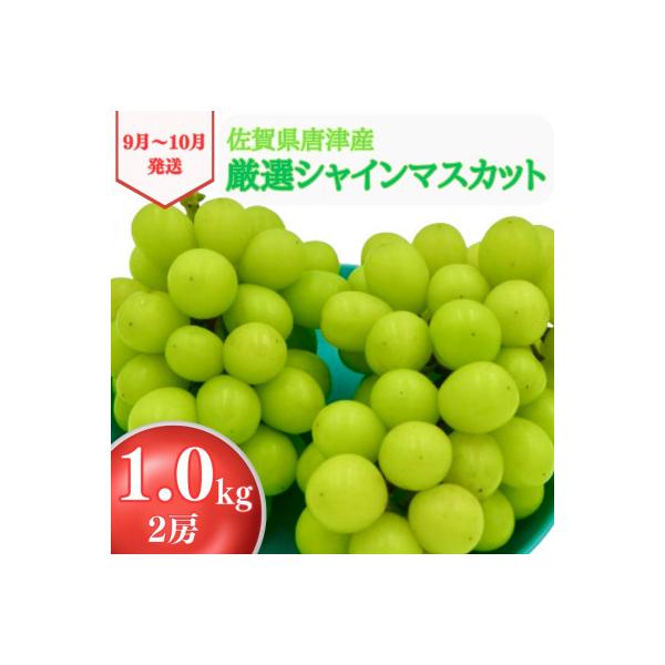 ■お礼品詳細　・配送種別：冷蔵便　・提供元：リフルット株式会社（旧：さかもとさんの畑）■お申し込み・配送・その他　・発送時期：2026-09-01〜2026-10-01(お届け時間帯指定可)　・申込受付期間：〜2026-09-06　・配達外...