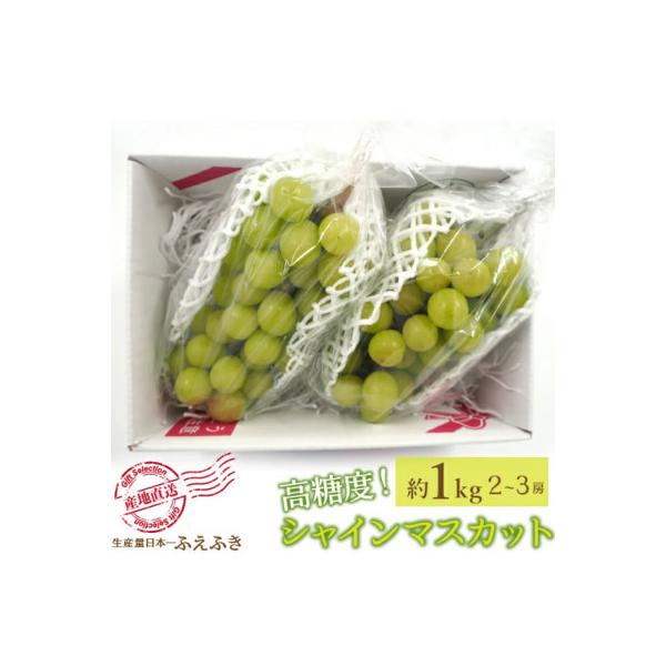 ■お礼品詳細　・配送種別：冷蔵便　・提供元：株式会社Three.R（笛吹市）■お申し込み・配送・その他　・発送時期：2026-08-25〜2026-10-31(お届け時間帯指定可)　・申込受付期間：2025-10-18〜2026-10-10...