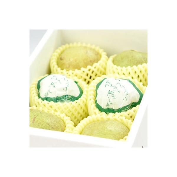 ■お礼品詳細　・配送種別：通常　・提供元：たけひさ農園■お申し込み・配送・その他　・発送時期：2025-10-30〜2026-01-08(お届け時間帯指定可)　・申込受付期間：〜2026-01-03　・配達外のエリア：離島、沖縄県　・寄付証...