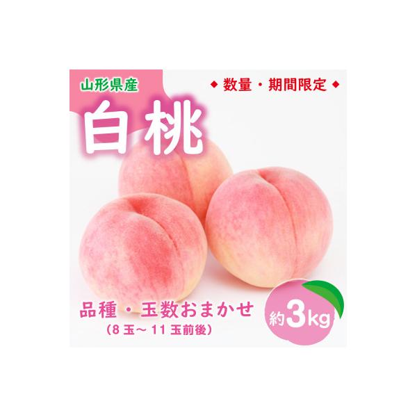 ■お礼品詳細　・配送種別：冷蔵便　・提供元：株式会社千笑花夢■お申し込み・配送・その他　・発送時期：2026-07-24〜2026-09-15(お届け時間帯指定可)　・申込受付期間：〜2026-07-10　・配達外のエリア：離島、沖縄県　・...