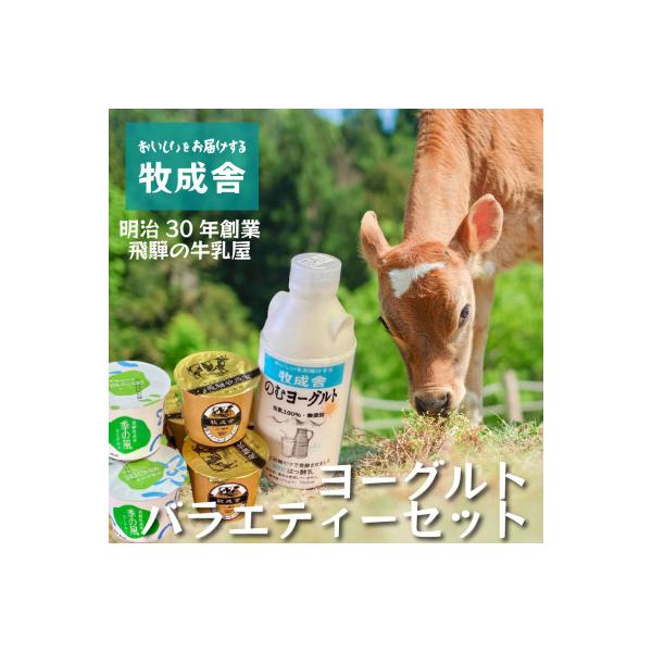 ■お礼品詳細　・配送種別：冷蔵便　・提供元：牧成舎（飛騨市）■お申し込み・配送・その他　・発送時期：2026-02-04より順次発送 ※生産・天候・交通等の事情により遅れる場合があります。(お届け時間帯指定可)　・申込受付期間：通年　・配達...