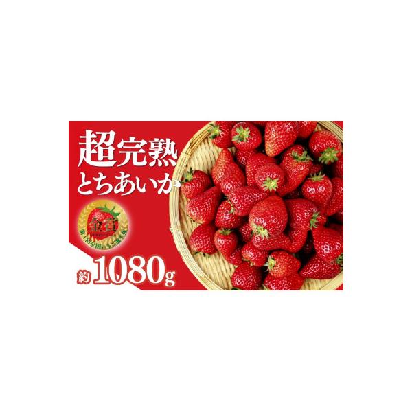 ■お礼品詳細　・配送種別：冷蔵便　・提供元：株式会社美土里農園■お申し込み・配送・その他　・発送時期：2025/12/10〜2026/05/01　※年末年始は発送までにお時間をいただく場合がございます(お届け時間帯指定可)　・申込受付期間：...