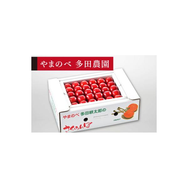 ■お礼品詳細　・配送種別：冷蔵便　・提供元：株式会社多田農園（山辺町）■お申し込み・配送・その他　・発送時期：2026/7/1〜2026/8/5(お届け時間帯指定可)　・申込受付期間：2025-12-1~2026-6-5　・配達外のエリア：...