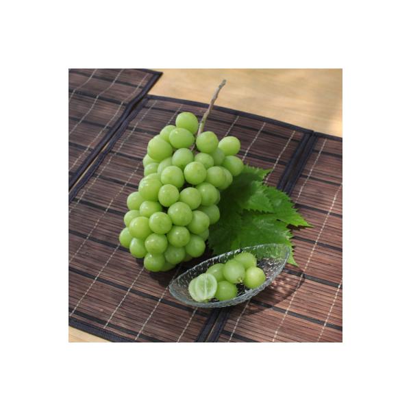 ■お礼品詳細　・配送種別：冷蔵便　・提供元：株式会社Three.R（南アルプス市）■お申し込み・配送・その他　・発送時期：2026-08-25〜2026-10-31(お届け時間帯指定可)　・申込受付期間：2025-10-18〜2026-10...