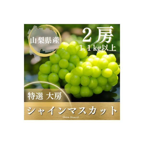 ■お礼品詳細　・配送種別：冷蔵便　・提供元：ぶどう屋　丸鉄（ＳＴ）■お申し込み・配送・その他　・発送時期：2026-09-10〜2026-10-31(お届け時間帯指定可)　・申込受付期間：〜2026-09-30　・配達外のエリア：離島　・寄...
