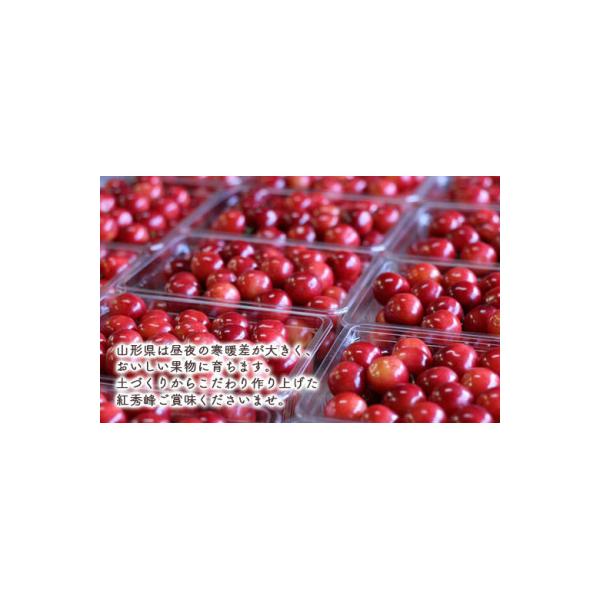 ■お礼品詳細　・配送種別：冷蔵便　・提供元：やまがた直送市場■お申し込み・配送・その他　・発送時期：2026-06-13〜2026-07-15(お届け時間帯指定可)　・申込受付期間：〜2026-06-15　・配達外のエリア：離島、沖縄県、中...