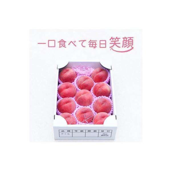 ■お礼品詳細　・配送種別：通常　・提供元：やまがた直送市場■お申し込み・配送・その他　・発送時期：2026-07-15〜2026-10-05(お届け時間帯指定可)　・申込受付期間：〜2026-09-20　・配達外のエリア：　・寄付証明書の送...