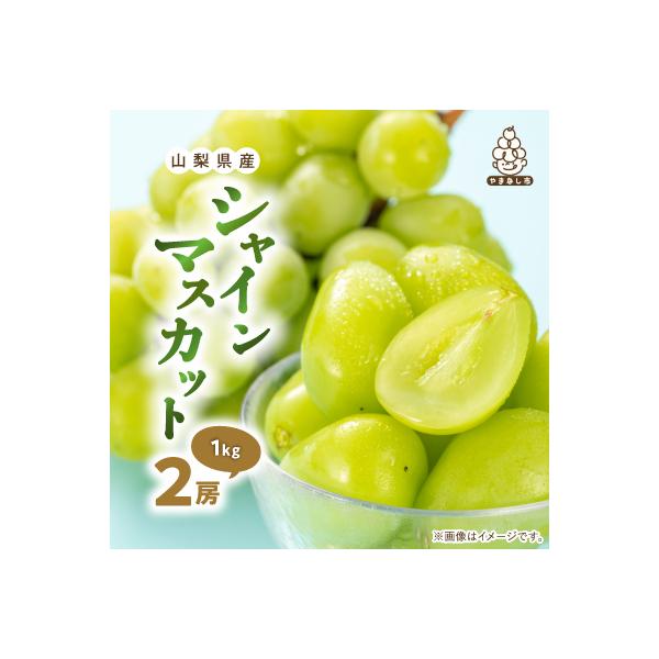 ■お礼品詳細　・配送種別：冷蔵便　・提供元：池田青果（ＳＴ）■お申し込み・配送・その他　・発送時期：2026-08-05〜2026-11-15(お届け時間帯指定可)　・申込受付期間：〜2026/10/31　・配達外のエリア：離島、沖縄県　・...