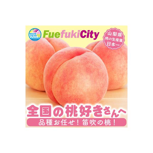 ■お礼品詳細　・配送種別：冷蔵便　・提供元：有限会社百花（笛吹市）■お申し込み・配送・その他　・発送時期：2026-06-20〜2026-08-25(お届け時間帯指定可)　・申込受付期間：〜2026-06-20　・配達外のエリア：離島、沖縄...