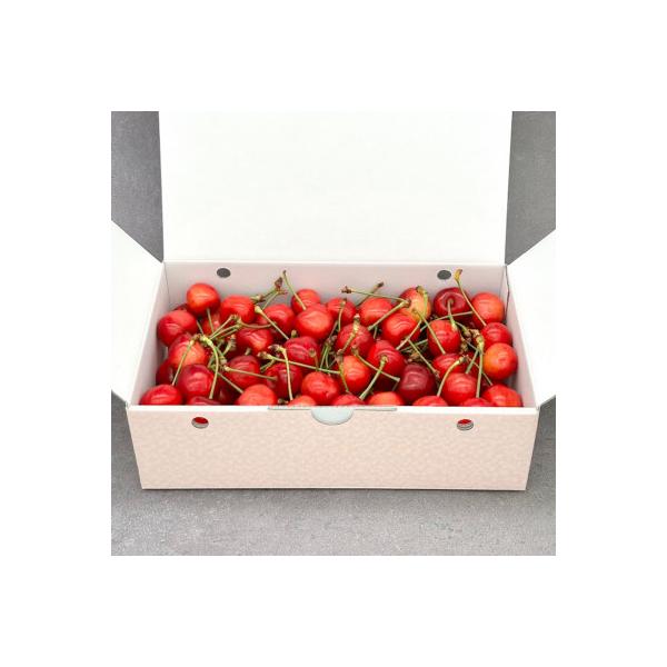 ■お礼品詳細　・配送種別：冷蔵便　・提供元：株式会社岩原果樹園■お申し込み・配送・その他　・発送時期：2026-06-15〜2026-07-10(お届け時間帯指定可)　・申込受付期間：〜2026-06-25　・配達外のエリア：離島、北海道、...