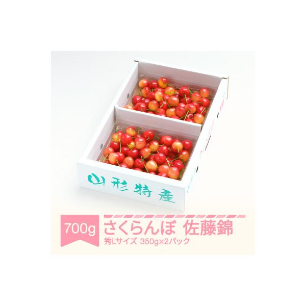 ■お礼品詳細　・配送種別：冷蔵便　・提供元：株式会社東根農産センター（さくらんぼ）（村山市）■お申し込み・配送・その他　・発送時期：2026-06-11〜2026-06-30(お届け時間帯指定可)　・申込受付期間：〜2026-06-03　・...