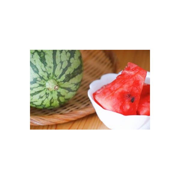 ■お礼品詳細　・配送種別：通常　・提供元：合同会社Ｃ＆Ｐ■お申し込み・配送・その他　・発送時期：2026-07-09〜2026-08-20(お届け時間帯指定可)　・申込受付期間：〜2026-07-25　・配達外のエリア：離島　・寄付証明書の...