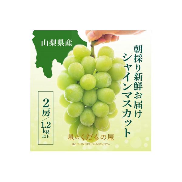 ■お礼品詳細　・配送種別：冷蔵便　・提供元：ティンクル☆星のくだもの屋■お申し込み・配送・その他　・発送時期：2026-08-20〜2026-10-04(お届け時間帯指定可)　・申込受付期間：〜2026-07-31　・配達外のエリア：離島、...