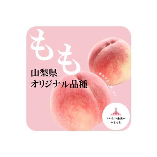 ■お礼品詳細　・配送種別：冷蔵便　・提供元：甲斐国物語（株式会社ヴァインヤード）■お申し込み・配送・その他　・発送時期：2026-07-01〜2026-07-31(お届け時間帯指定可)　・申込受付期間：2026-01-01〜2026-06-...