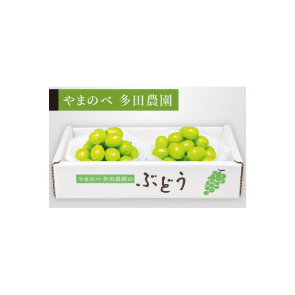 ■お礼品詳細　・配送種別：通常　・提供元：株式会社多田農園（山辺町）■お申し込み・配送・その他　・発送時期：2026/9/15〜2026/10/10(お届け時間帯指定可)　・申込受付期間：2025-12-1~2026-9-7　・配達外のエリ...