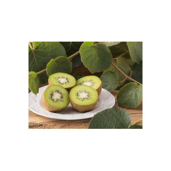 ■お礼品詳細　・配送種別：通常　・提供元：（株）渋谷農園■お申し込み・配送・その他　・発送時期：2025-12-01〜2026-06-07(お届け時間帯指定可)　・申込受付期間：2025-11-20〜2026-05-30　・配達外のエリア：...