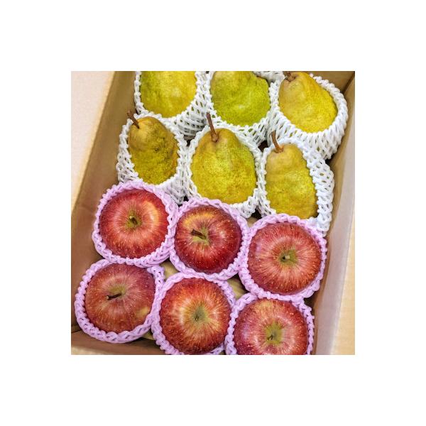 ■お礼品詳細　・配送種別：通常　・提供元：庄内産直センター■お申し込み・配送・その他　・発送時期：2026-11-06〜2026-12-11(お届け時間帯指定可)　・申込受付期間：〜2026-10-30　・配達外のエリア：　・寄付証明書の送...