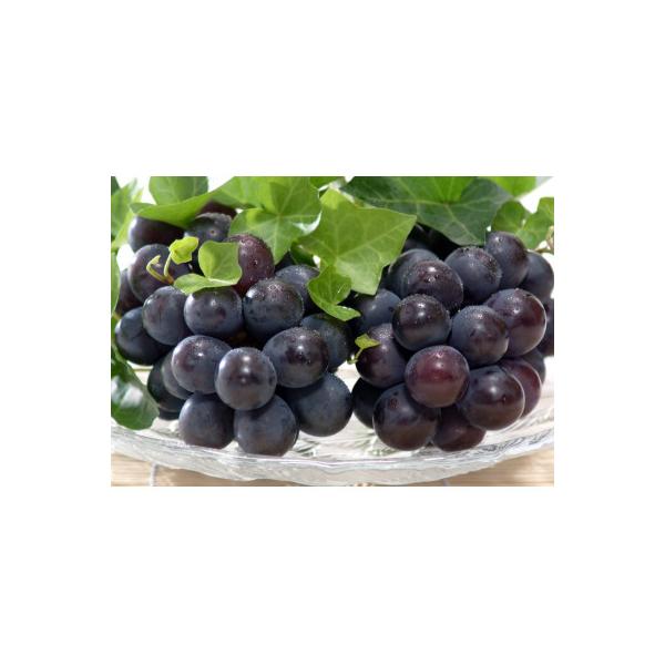 ■お礼品詳細　・配送種別：冷蔵便　・提供元：株式会社藍■お申し込み・配送・その他　・発送時期：2026-09-10〜2026-10-10(お届け時間帯指定可)　・申込受付期間：〜2026-10-05　・配達外のエリア：離島、北海道、沖縄県　...