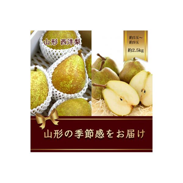 ■お礼品詳細　・配送種別：通常　・提供元：株式会社　浜中屋■お申し込み・配送・その他　・発送時期：2026-10-01〜2026-12-31(お届け時間帯指定可)　・申込受付期間：〜2026-12-10　・配達外のエリア：　・寄付証明書の送...