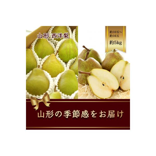 ■お礼品詳細　・配送種別：通常　・提供元：株式会社　浜中屋■お申し込み・配送・その他　・発送時期：2026-10-01〜2026-12-31　・申込受付期間：〜2026-12-01　・配達外のエリア：　・寄付証明書の送付時期目安：申込完了日...