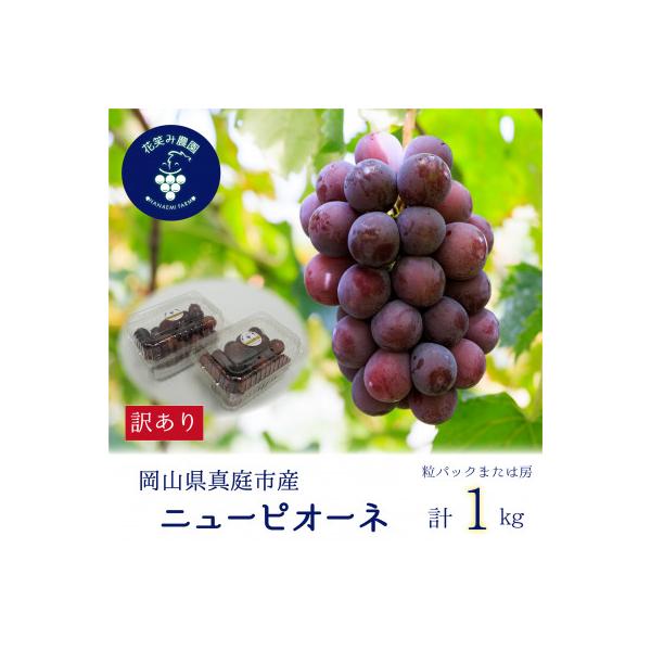 ■お礼品詳細　・配送種別：冷蔵便　・提供元：花笑み農園■お申し込み・配送・その他　・発送時期：2026-09-04〜2026-10-26(お届け時間帯指定可)　・申込受付期間：〜2026-10-21　・配達外のエリア：離島　・寄付証明書の送...