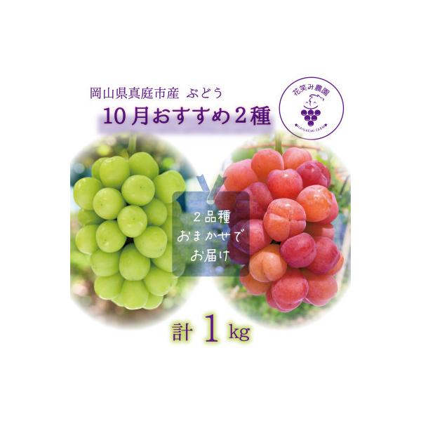■お礼品詳細　・配送種別：冷蔵便　・提供元：花笑み農園■お申し込み・配送・その他　・発送時期：2026-10-01〜2026-11-20(お届け時間帯指定可)　・申込受付期間：〜2026-11-15　・配達外のエリア：離島　・寄付証明書の送...