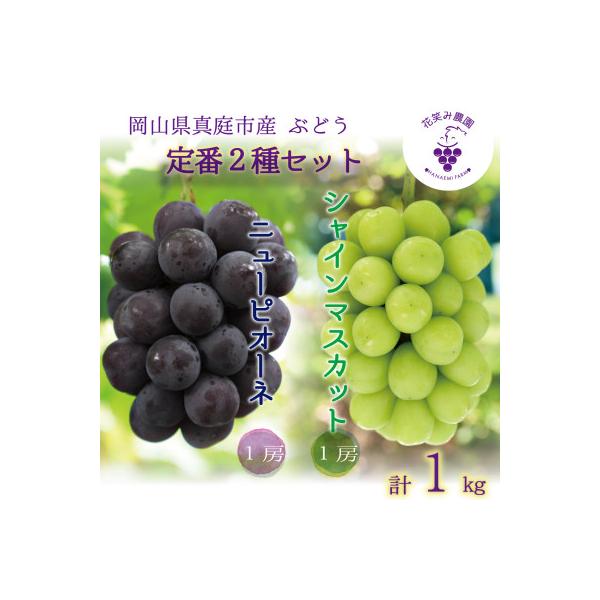 ■お礼品詳細　・配送種別：冷蔵便　・提供元：花笑み農園■お申し込み・配送・その他　・発送時期：2026-09-15〜2026-10-26(お届け時間帯指定可)　・申込受付期間：2025-12-01〜2026-10-21　・配達外のエリア：離...