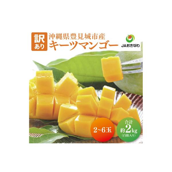 ■お礼品詳細　・配送種別：冷蔵便　・提供元：ＪＡおきなわ食彩館　菜々色畑■お申し込み・配送・その他　・発送時期：2026-08-01〜2026-09-20(お届け時間帯指定可)　・申込受付期間：〜2026-08-25　・配達外のエリア：離島...