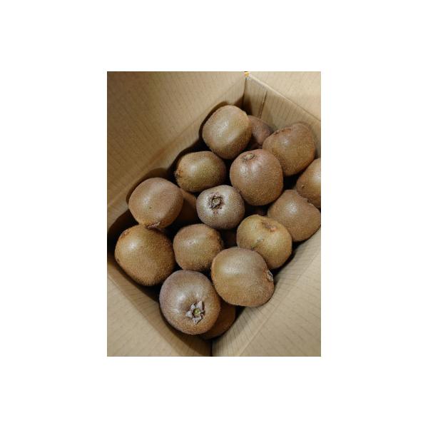 ■お礼品詳細　・配送種別：通常　・提供元：国城観光農園■お申し込み・配送・その他　・発送時期：〜2026-02-06　※年末年始は発送までにお時間をいただく場合がございます(お届け時間帯指定可)　・申込受付期間：〜2026-01-31　・配...