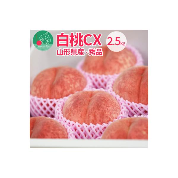 ■お礼品詳細　・配送種別：冷蔵便　・提供元：グルメ＆ギフトお取り寄せ山形ｅＬａｂ■お申し込み・配送・その他　・発送時期：2026-09-28〜2026-10-16(お届け時間帯指定可)　・申込受付期間：2025-11-06〜2026-09-...