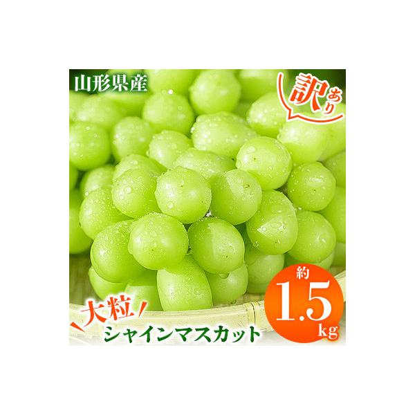 ■お礼品詳細　・配送種別：冷蔵便　・提供元：株式会社エナジーファーム■お申し込み・配送・その他　・発送時期：2026-08-31〜2026-10-31(お届け時間帯指定可)　・申込受付期間：〜2026-10-15　・配達外のエリア：離島　・...