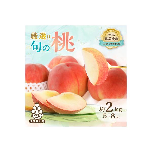 ■お礼品詳細　・配送種別：冷蔵便　・提供元：アペックスフルーツ株式会社（ＳＴ）■お申し込み・配送・その他　・発送時期：2026-06-25〜2026-09-06(お届け時間帯指定可)　・申込受付期間：〜2025-12-31　・配達外のエリア...