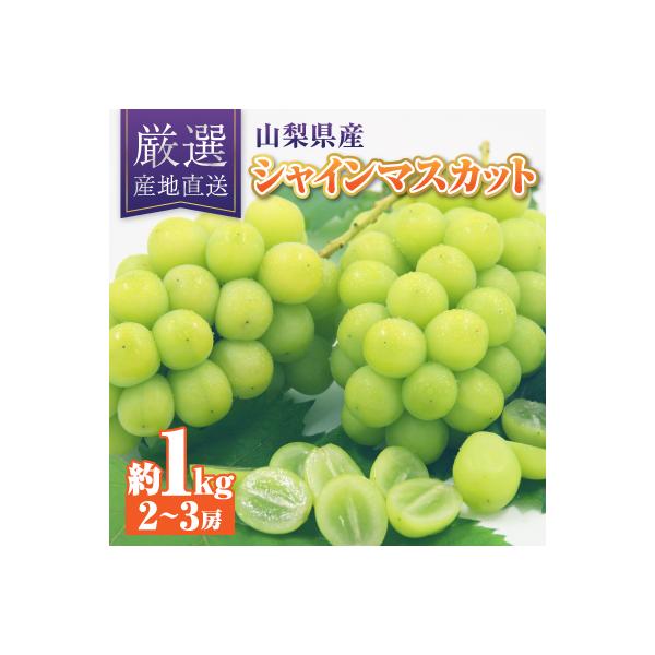 ■お礼品詳細　・配送種別：冷蔵便　・提供元：アペックスフルーツ株式会社（ＳＴ）■お申し込み・配送・その他　・発送時期：2026-08-27〜2026-11-05(お届け時間帯指定可)　・申込受付期間：〜2026-10-31　・配達外のエリア...