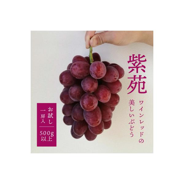 ■お礼品詳細　・配送種別：冷蔵　・提供元：きよとうファーム株式会社■お申し込み・配送・その他　・発送時期：2026-10-07〜2026-12-14(お届け時間帯指定可)　・申込受付期間：〜2026-11-30　・配達外のエリア：離島　・寄...