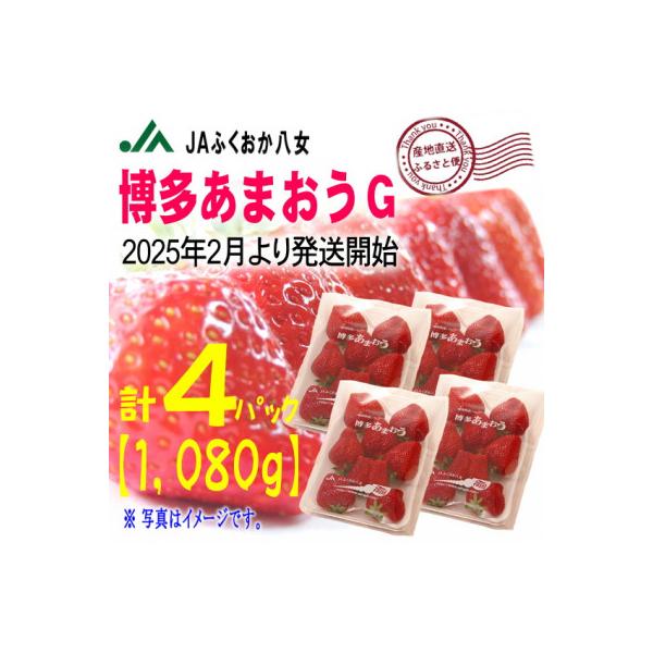 ■お礼品詳細　・配送種別：冷蔵便　・提供元：福岡八女農業協同組合　販売企画課■お申し込み・配送・その他　・発送時期：2026-02-01〜2026-03-06(お届け時間帯指定可)　・申込受付期間：〜2026-02-22　・配達外のエリア：...