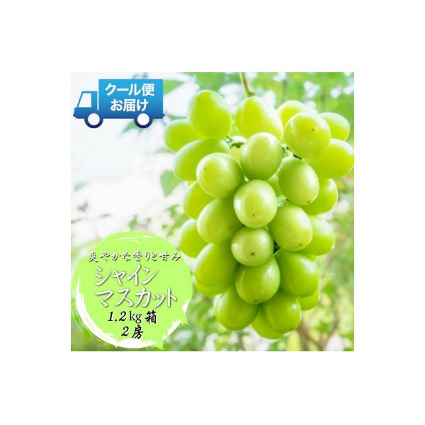 ■お礼品詳細　・配送種別：冷蔵便　・提供元：幸せの贈り物　華栄（南アルプス市）■お申し込み・配送・その他　・発送時期：2026-08-25〜2026-10-10(お届け時間帯指定可)　・申込受付期間：〜2026-09-30　・配達外のエリア...