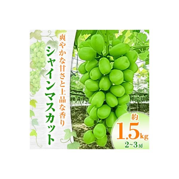 ■お礼品詳細　・配送種別：冷蔵便　・提供元：鈴木果樹園■お申し込み・配送・その他　・発送時期：2026-09-01〜2026-09-28(お届け時間帯指定可)　・申込受付期間：2025-12-08〜2026-09-01　・配達外のエリア：離...