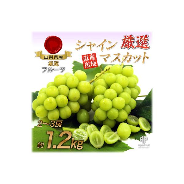 ■お礼品詳細　・配送種別：冷蔵便　・提供元：アペックスフルーツ株式会社（南アルプス市）■お申し込み・配送・その他　・発送時期：2026-08-20〜2026-10-31(お届け時間帯指定可)　・申込受付期間：〜2026-10-20　・配達外...