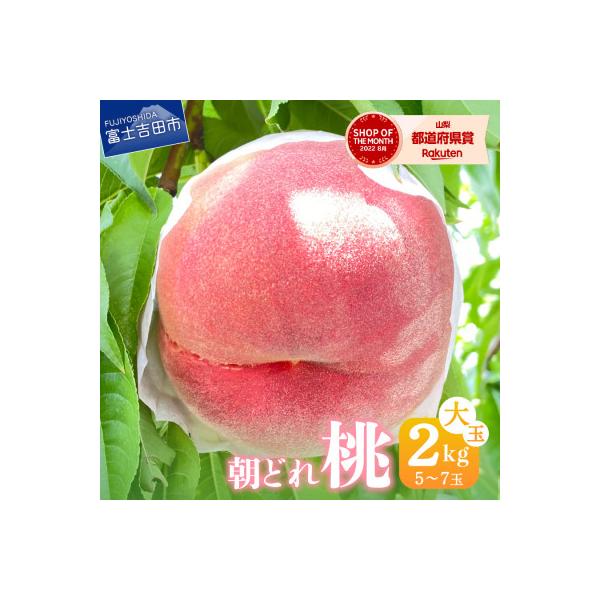 ■お礼品詳細　・配送種別：冷蔵便　・提供元：池田青果（富士吉田市）■お申し込み・配送・その他　・発送時期：2026-06-25〜2026-09-15(お届け時間帯指定可)　・申込受付期間：〜2026-07-27　・配達外のエリア：離島、沖縄...