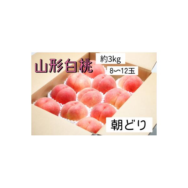 ■お礼品詳細　・配送種別：冷蔵便　・提供元：株式会社　芳賀青果■お申し込み・配送・その他　・発送時期：2026-08-01〜2026-10-05(お届け時間帯指定可)　・申込受付期間：〜2026-09-15　・配達外のエリア：離島　・寄付証...