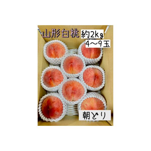 ■お礼品詳細　・配送種別：冷蔵便　・提供元：株式会社　芳賀青果■お申し込み・配送・その他　・発送時期：2026-08-01〜2026-10-05(お届け時間帯指定可)　・申込受付期間：〜2026-09-15　・配達外のエリア：離島　・寄付証...