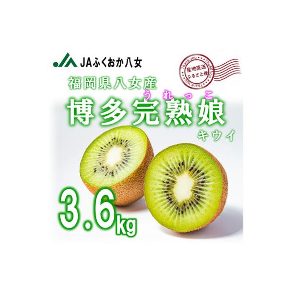 ■お礼品詳細　・配送種別：通常　・提供元：福岡八女農業協同組合　販売企画課■お申し込み・配送・その他　・発送時期：2025-12-01〜2026-02-18　※年末年始は発送までにお時間をいただく場合がございます(お届け時間帯指定可)　・申...