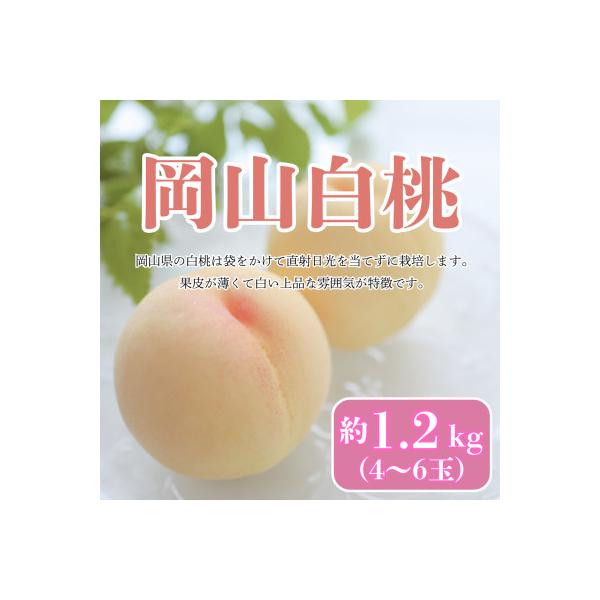 ■お礼品詳細　・配送種別：冷蔵便　・提供元：株式会社曲辰■お申し込み・配送・その他　・発送時期：2026-07-24〜2026-09-04(お届け時間帯指定可)　・申込受付期間：〜2026-08-19　・配達外のエリア：離島、北海道、沖縄県...